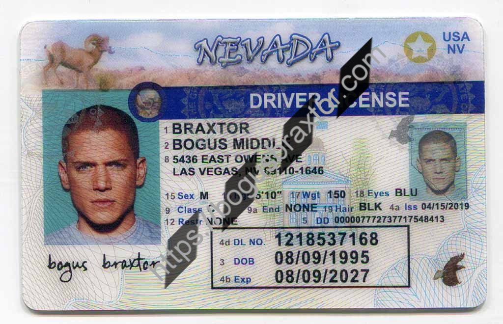 Nevada Fake ID - Bogusbraxtor