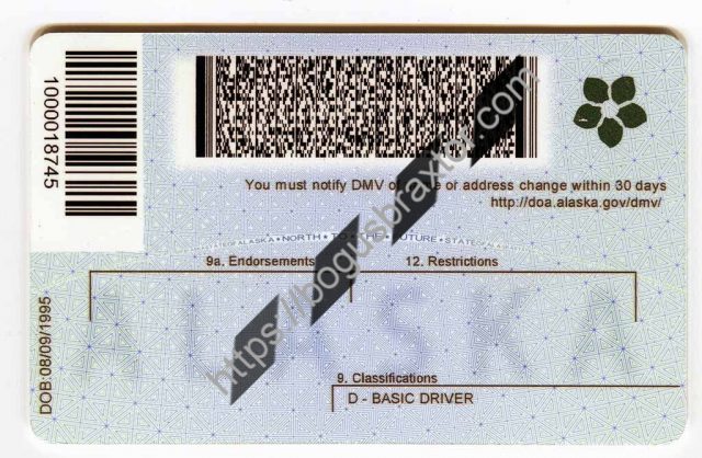 Bogus Braxtor Fake ID - Scannable Fake ID Cards