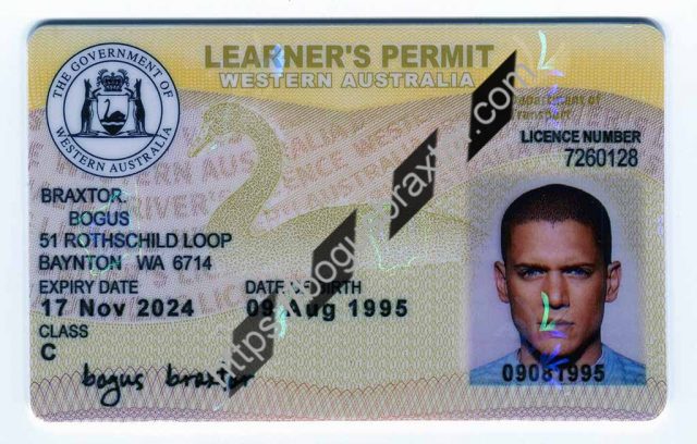 Bogus Braxtor Fake ID - Scannable Fake ID Cards